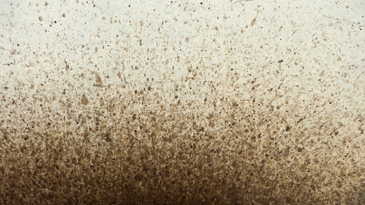 New Normal – The Rev. Jimmy Abbott